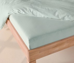 Tchibo - Žerzejové napínací prostěradlo, na dvoulůžko, šalvějová