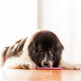 United Pets Lízací podložka pro psy LickiMat Buddy růžová