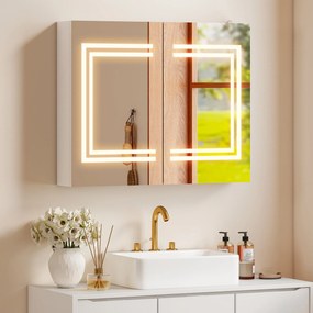 kleankin koupelnová skříňka se zrcadlem s LED osvětlením, 80 x 65 cm, koupelnová skříňka se zrcadlem, soft-close dveře, stmívatelná ve 3 barvách, nas…