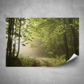 Plakát - Cesta z lesa (60x40 cm) - PopyDesign