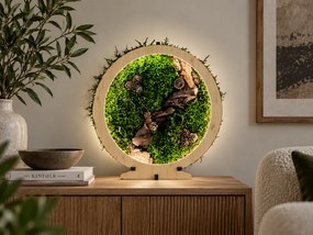 Li-Go "Mechové zátiší" lampa 20x22 cm provedení povrchu: jedle