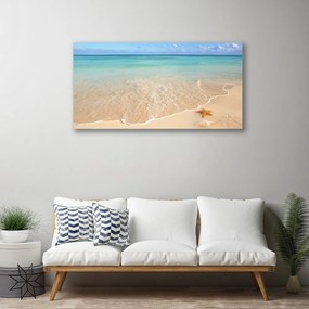 Obraz na plátně Pláž Hvězdice Krajina 120x60 cm