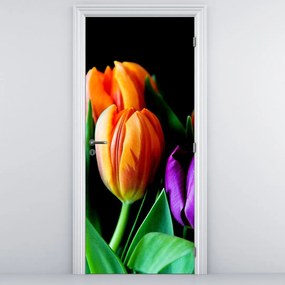 Fototapeta na dveře - Tulipány na černém pozadí (95x205cm)