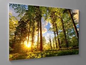 Liox Obraz západ slunce v lese Rozměr: 60 x 40 cm