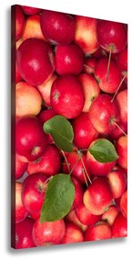 Wallmuralia Vertikální Foto obraz na plátně Červená jablka 50x100