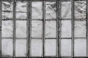 DIMEX | Vliesová fototapeta Kovové dveře kůlny MS-5-0828 | 375 x 250 cm| bílá, černá, šedá