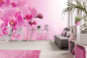 Malvis ® Tapeta Orchidej růžová Vel. (šířka x výška): 432 x 290 cm