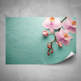 Plakát - Růžová orchidej na mentolu (60x40 cm) - PopyDesign