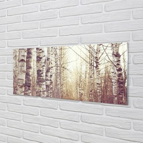 akrylový obraz stromy 120x60 cm