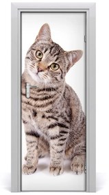 Samolepící fototapeta na dveře Kočka 75x205 cm