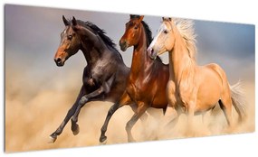 Moderní obraz koní (100x40cm)