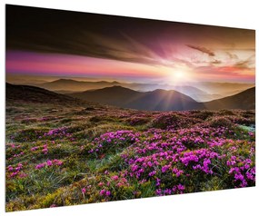 Obraz horské rozkvetlé krajiny (120x80 cm)