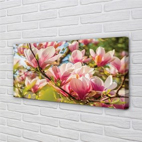 Obrazy na plátně růžová magnolie 120x60 cm