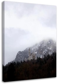Gario Obraz na plátně Neuschwanstein - Dmitry Belov Rozměry: 40 x 60 cm