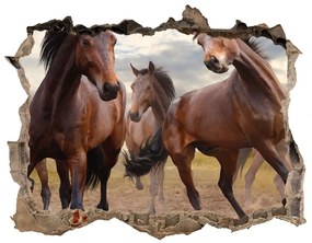 Wallmuralia Díra 3D fototapeta na stěnu Pět koní 95x64 cm