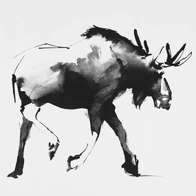 Plakát Elk 70x50