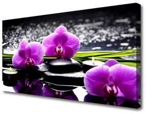 Obraz na plátně Květ Kameny Rostlina 120x60 cm
