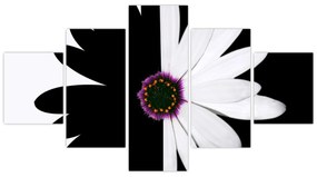 Obraz černobílého květu (125x70 cm)