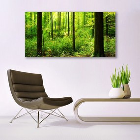 akrylový obraz Les Zeleň Stromy Příroda 120x60 cm
