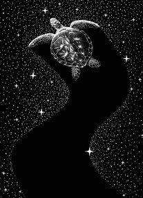 Ilustrace Starry Turtle, Aliriza Cakir, (30 x 40 cm)