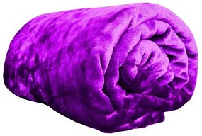 Aaryans deka mikroflanel 150x200 cm tmavě fialová
