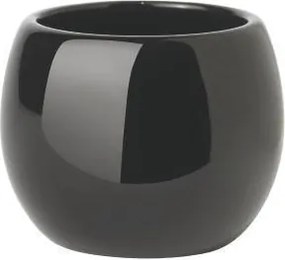 XXXLutz KELÍMEK NA ZUBNÍ KARTÁČEK černá Sadena - 001891004913
