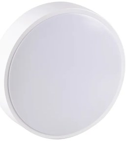 LED Koupelnové stropní svítidlo RENE LED/15W/230V IP44 bílá