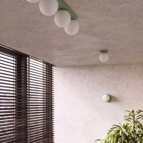 Sollux Lighting Nástěnné svítidlo YOLI 1 šalvějové s vypínačem