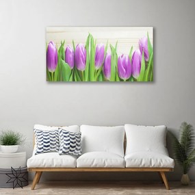 Obraz na plátně Tulipány Květiny Příroda 100x50 cm