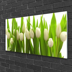 Obraz na skle Tulipány Květiny Rostlina 120x60 cm