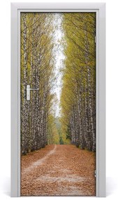 Fototapeta na dveře samolepící břízový les 75x205 cm