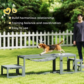PawHut 3dílná agility sada pro psy — smrkový most, žebřík a plošina pro střední a velké psy do 40 kg, šedá