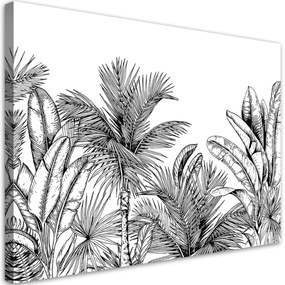 Obraz na plátně, Černé a bílé listy - 60x40 cm