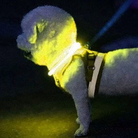 Svíticí obojek pro psy LED Purlov 24200, regulovatelný, nabíjecí USB-C