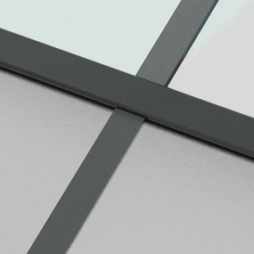 Posuvné dveře s kováním 90x205 cm tvrzeného sklo a hliník 3333035