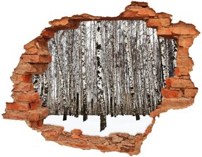Wallmuralia Nálepka fototapeta 3D výhled Břízy zima 90x70 cm