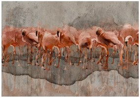Fototapeta - Jezero Flamingo 200x140 + zdarma lepidlo