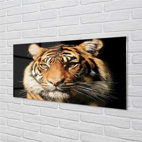 Obraz na skle Tygr 120x60 cm