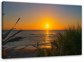 Obraz na plátně Plážová tráva při západu slunce - 60x40 cm