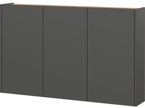 Antracitová závěsná skříňka v dekoru dubu 138x87x25 cm Libbiano – Germania