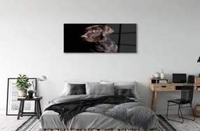akrylový obraz hnědý pes 120x60 cm