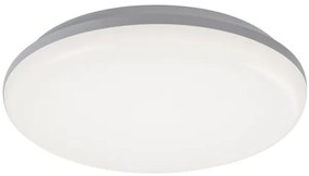 Rabalux 7979 - LED Venkovní stropní svítidlo ERIC LED/24W/230V IP64