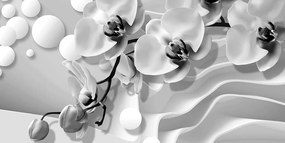 Obraz černobílá orchidej na abstraktním pozadí Varianta: 100x50