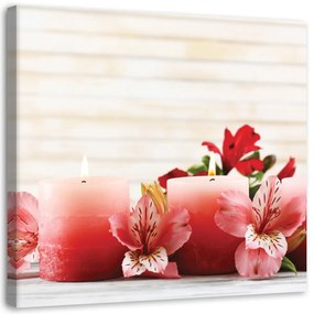 Obraz na plátně Květinové svíčky Zen Pink - 40x40 cm