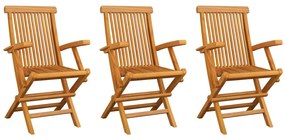 Zahradní židle 3 ks masivní teakové dřevo