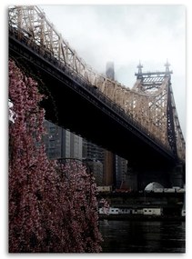 Gario Obraz na plátně Most Queensboro Eda Kocha - Dmitry Belov Rozměry: 40 x 60 cm