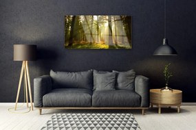 Obraz na skle Les Příroda 100x50 cm