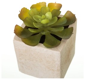 Umělé rostliny v sadě 6 ks (výška 9,5 cm) Cactus – Casa Selección