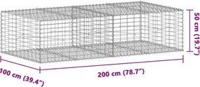 Gabionový koš s víkem 200 x 100 x 50 cm pozinkované železo 3295179