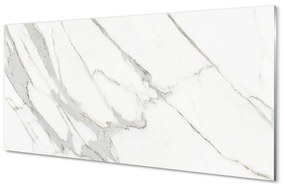 Skleněný panel Marble kámen skvrny 100x50 cm